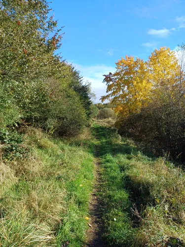 Best Hikes and Trails in Cardowan Moss Local Nature Reserve | AllTrails