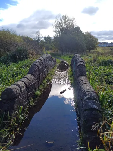 Best Hikes and Trails in Cardowan Moss Local Nature Reserve | AllTrails