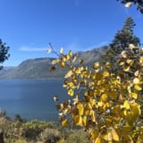 Fallen Leaf Lake Trail, California - 1,110 Reviews, Map | AllTrails