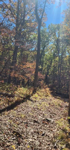 Best Hikes and Trails in Stephens State Forest | AllTrails