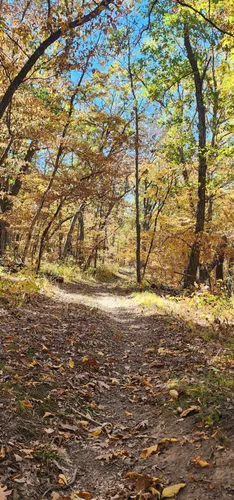 Best Hikes and Trails in Stephens State Forest | AllTrails