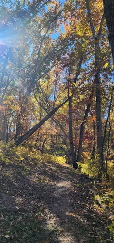 Best Hikes and Trails in Stephens State Forest | AllTrails