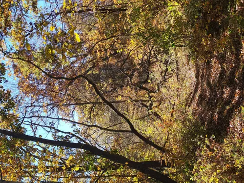 Best Hikes and Trails in Stephens State Forest | AllTrails