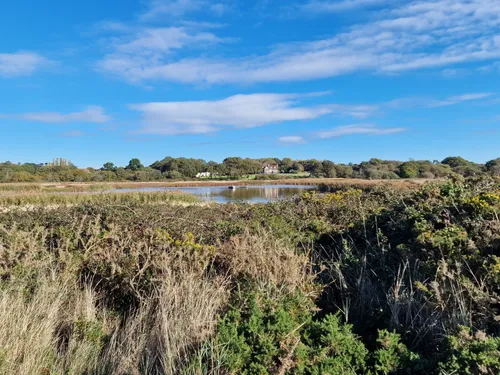 Best Hikes and Trails in Hook with Warsash Local Nature Reserve | AllTrails