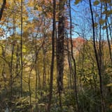 Babel Tower Trail, North Carolina - 925 Reviews, Map | AllTrails