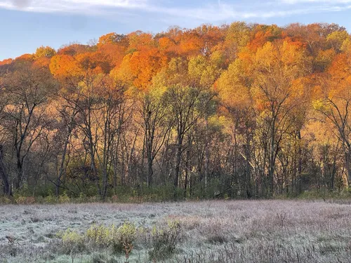 Best Hikes and Trails in Rasmussen Park | AllTrails