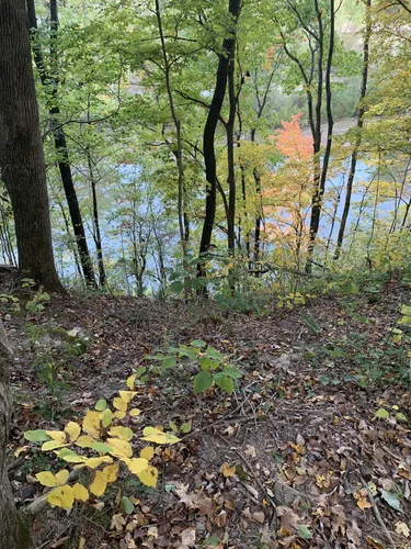 Best Hikes and Trails in Brigadoon State Nature Preserve | AllTrails
