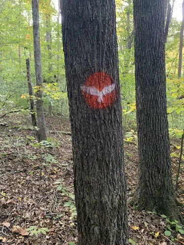 Best Hikes and Trails in Brigadoon State Nature Preserve | AllTrails