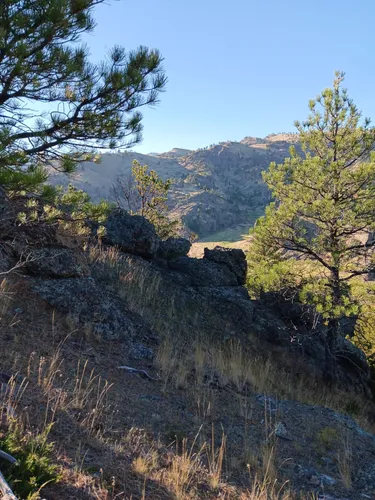 Best Hikes and Trails in Tower Rock State Park | AllTrails