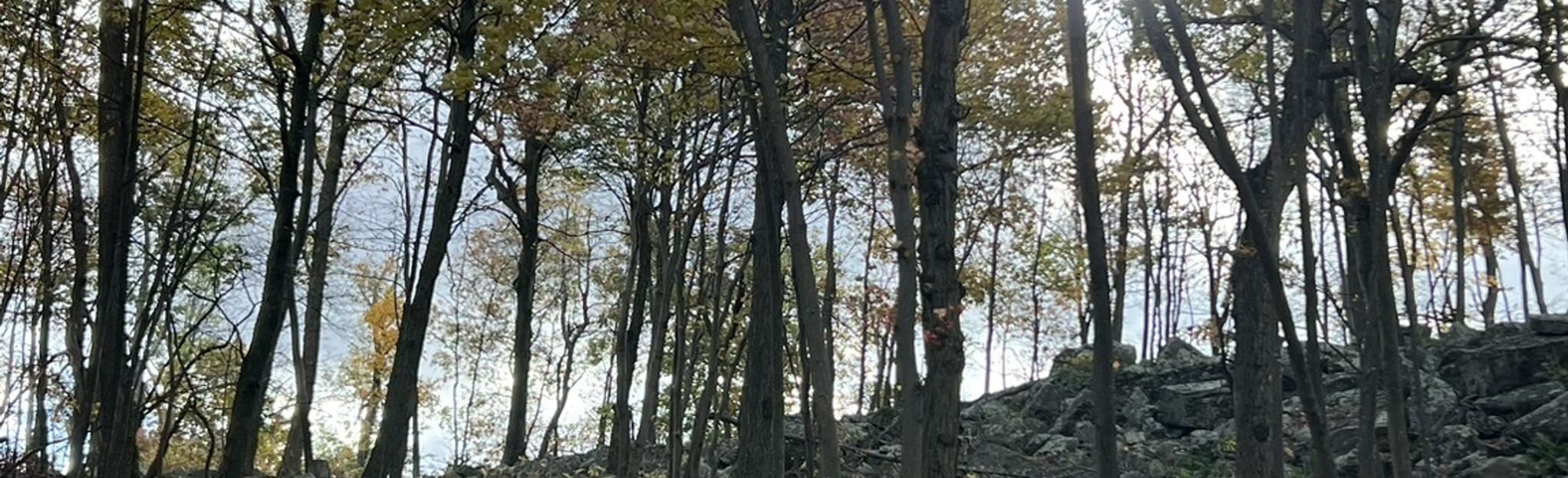 Monterey Peak Trail via Billy Yank and Johnny Reb Trail , Pennsylvania ...