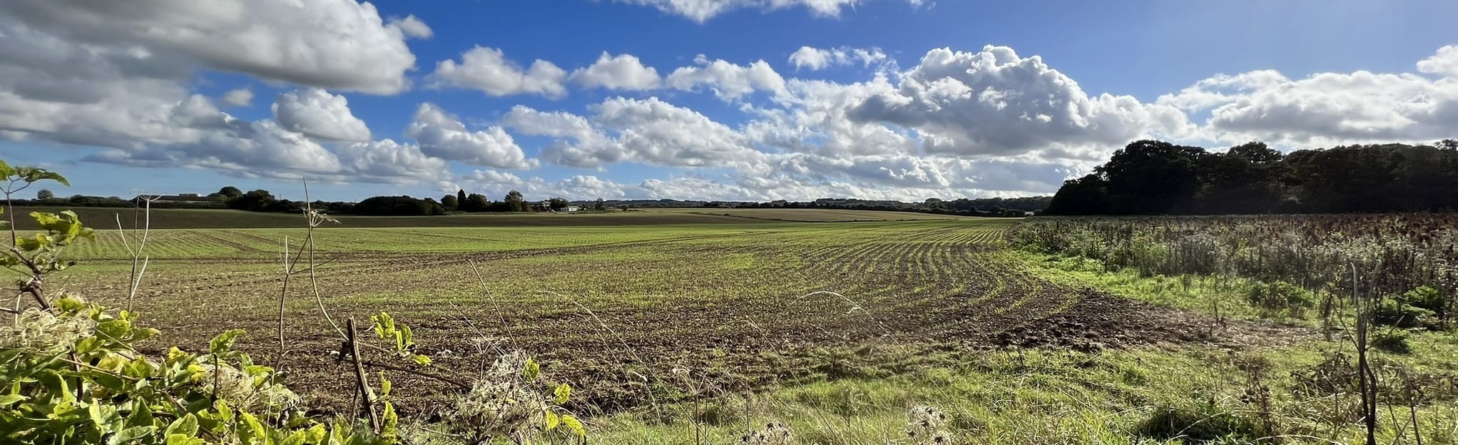 Oakley, Worting and Manydown Circular, Hampshire, England - 44 Reviews ...