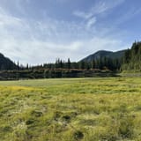Linton Lake Trail, Oregon - 224 Reviews, Map | AllTrails