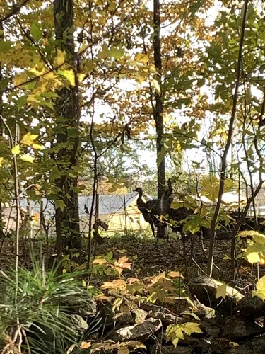 Best Hikes and Trails in Fay Grant Bird Sanctuary | AllTrails