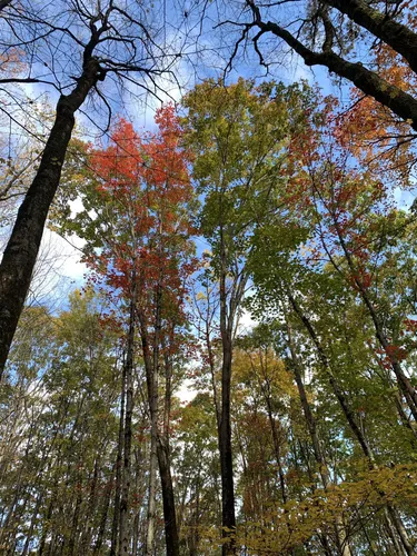 Best Hikes and Trails in Fay Grant Bird Sanctuary | AllTrails