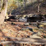 Nine Penny Branch Loop, Indiana - 598 Reviews, Map | AllTrails