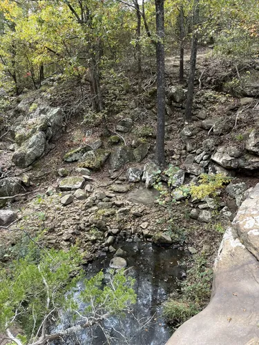 2023 Best Forest Trails in Keystone Ancient Forest | AllTrails