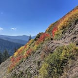 Top Spur and Timberline Loop, Oregon - 800 Reviews, Map | AllTrails