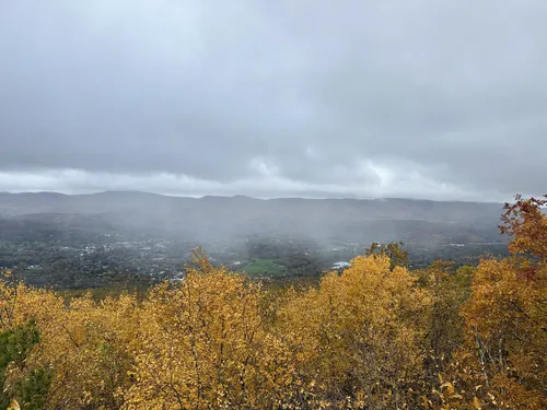 Best Hikes and Trails in Clarksburg State Forest | AllTrails