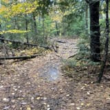 Blue Job Mountain Loop, New Hampshire - 1,892 Reviews, Map | AllTrails