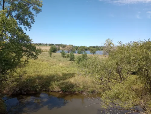 Best Hikes and Trails in Linear Park | AllTrails