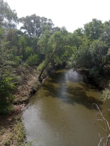 Best Hikes and Trails in Linear Park | AllTrails