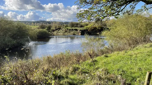 Best Hikes and Trails in Baron's Haugh Nature Reserve | AllTrails