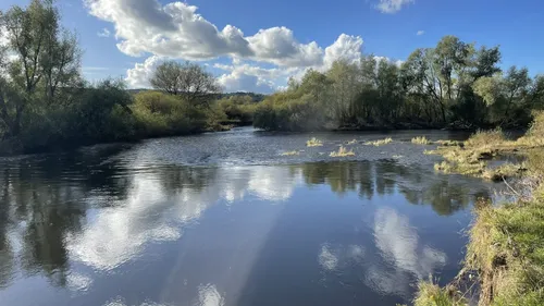 Best Hikes and Trails in Baron's Haugh Nature Reserve | AllTrails