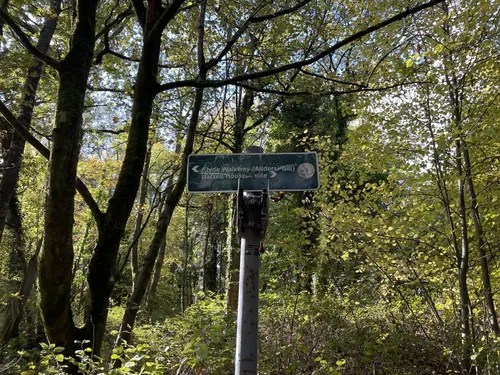 Best Hikes and Trails in Baron's Haugh Nature Reserve | AllTrails