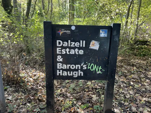 Best Hikes and Trails in Baron's Haugh Nature Reserve | AllTrails