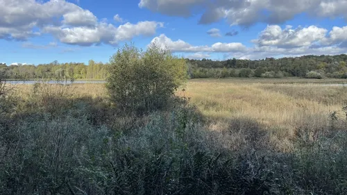 Best Hikes and Trails in Baron's Haugh Nature Reserve | AllTrails