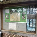 Breakheart Reservation Loop, Massachusetts - 1,037 Reviews, Map | AllTrails