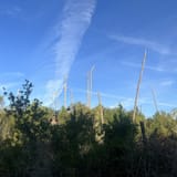 Lost Pines Trail, Texas - 651 Reviews, Map | AllTrails