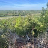 Lost Pines Trail, Texas - 651 Reviews, Map | AllTrails