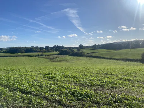 10 Best Trails, Walks, and Paths in Masham | AllTrails