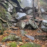 Devil's Path to the Jimmy Dolan Notch Overlook and Twin Mountain Summit ...