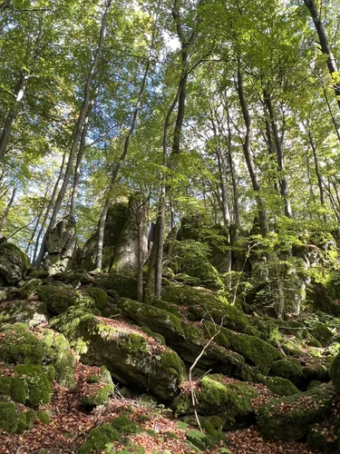 2023 Best River Trails in Plech | AllTrails