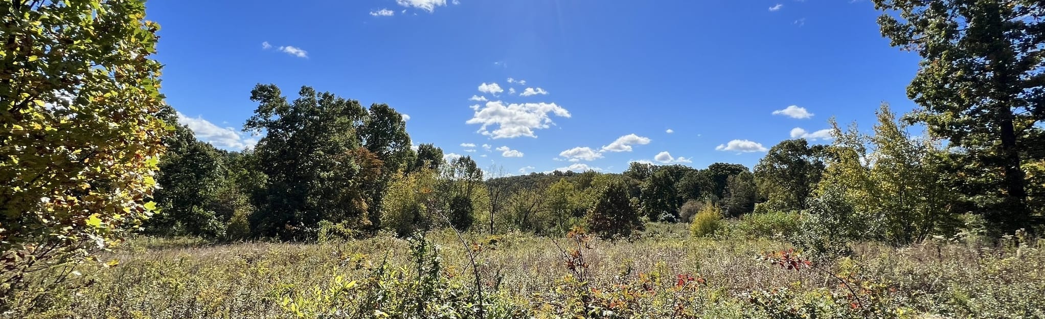 Houston Meadow Loop, Pennsylvania - 451 Reviews, Map | AllTrails