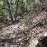 Signal Knob Loop Trail, Virginia - 936 Reviews, Map | AllTrails