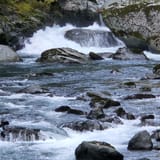 Staircase Rapids Loop, Washington - 2,343 Reviews, Map | AllTrails