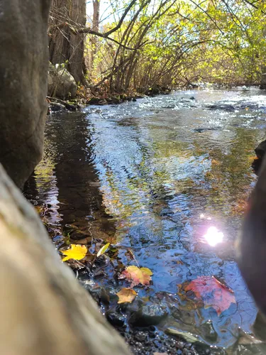 Best River Trails in Middlebury | AllTrails