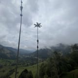 Cocora Valley Loop, Quindío, Colombia - 201 Reviews, Map | AllTrails