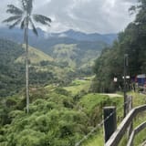 Cocora Valley Loop, Quindío, Colombia - 201 Reviews, Map | AllTrails