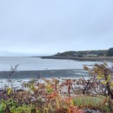 Timber Point, Maine - 397 Reviews, Map | AllTrails