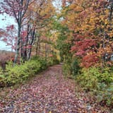 Timber Point, Maine - 397 Reviews, Map | AllTrails