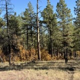 Mars Hill Trail Loop, Arizona - 1,365 Reviews, Map | AllTrails
