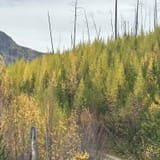 Divide Lake Trail, British Columbia, Canada - 75 Reviews, Map | AllTrails