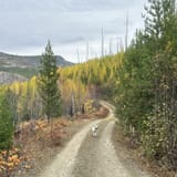 Divide Lake Trail, British Columbia, Canada - 75 Reviews, Map | AllTrails