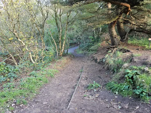 Best Hikes and Trails in Runcorn Hill Park | AllTrails