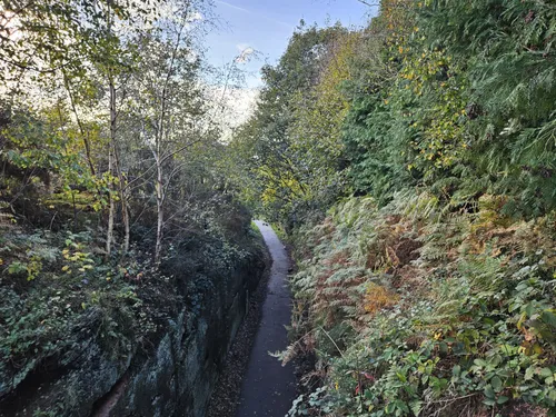 Best Hikes and Trails in Runcorn Hill Park | AllTrails