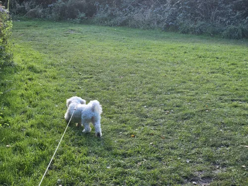 Best Hikes and Trails in Runcorn Hill Park | AllTrails